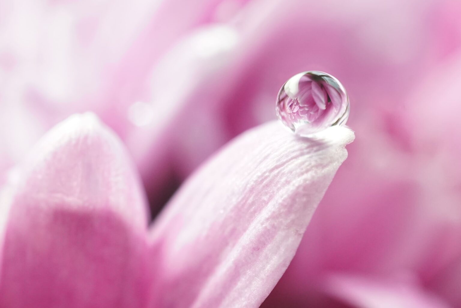 LuctaCaps® – Microencapsulated Fragrances - Lucta